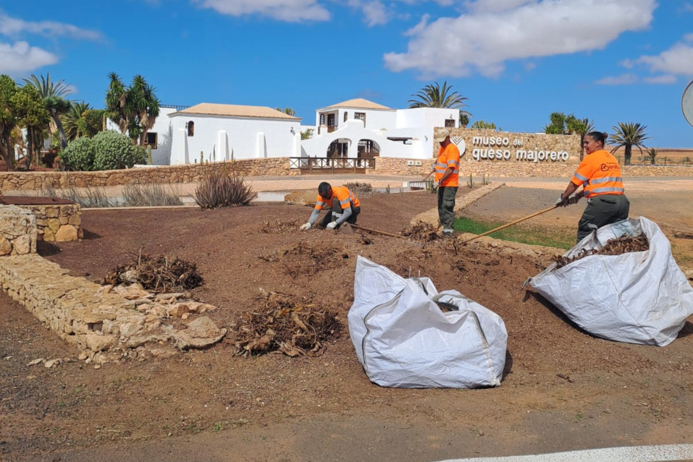 El Cabildo de Fuerteventura mejora y embellece el entorno del Museo del Queso Majorero | Diario ...